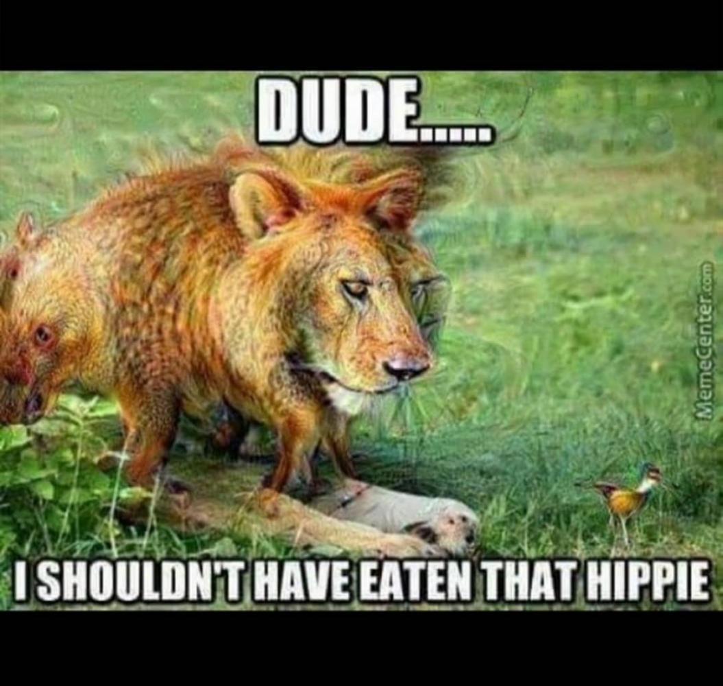 Psychedelic Memes Mega-Thread - Psychedelics - Actualized.org Forum