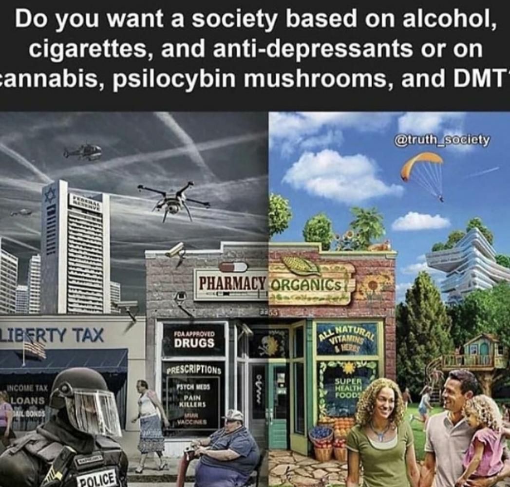 Psychedelic Memes Mega-Thread - Psychedelics - Actualized.org Forum
